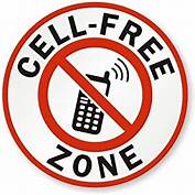 How it Works – BlueByYou Blueberries